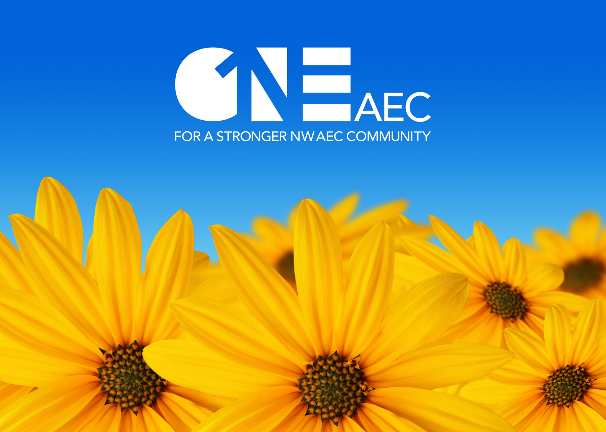 Celebrate Summer With OneAEC! – OneAEC
